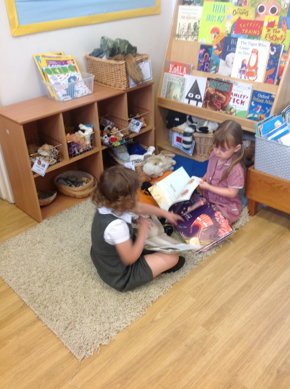 Reception - Hassocks Infant School